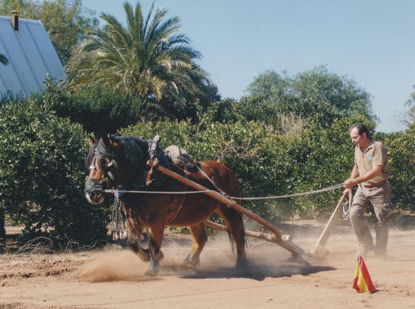 La importancia de los animales en la agricultura - EDYPRO