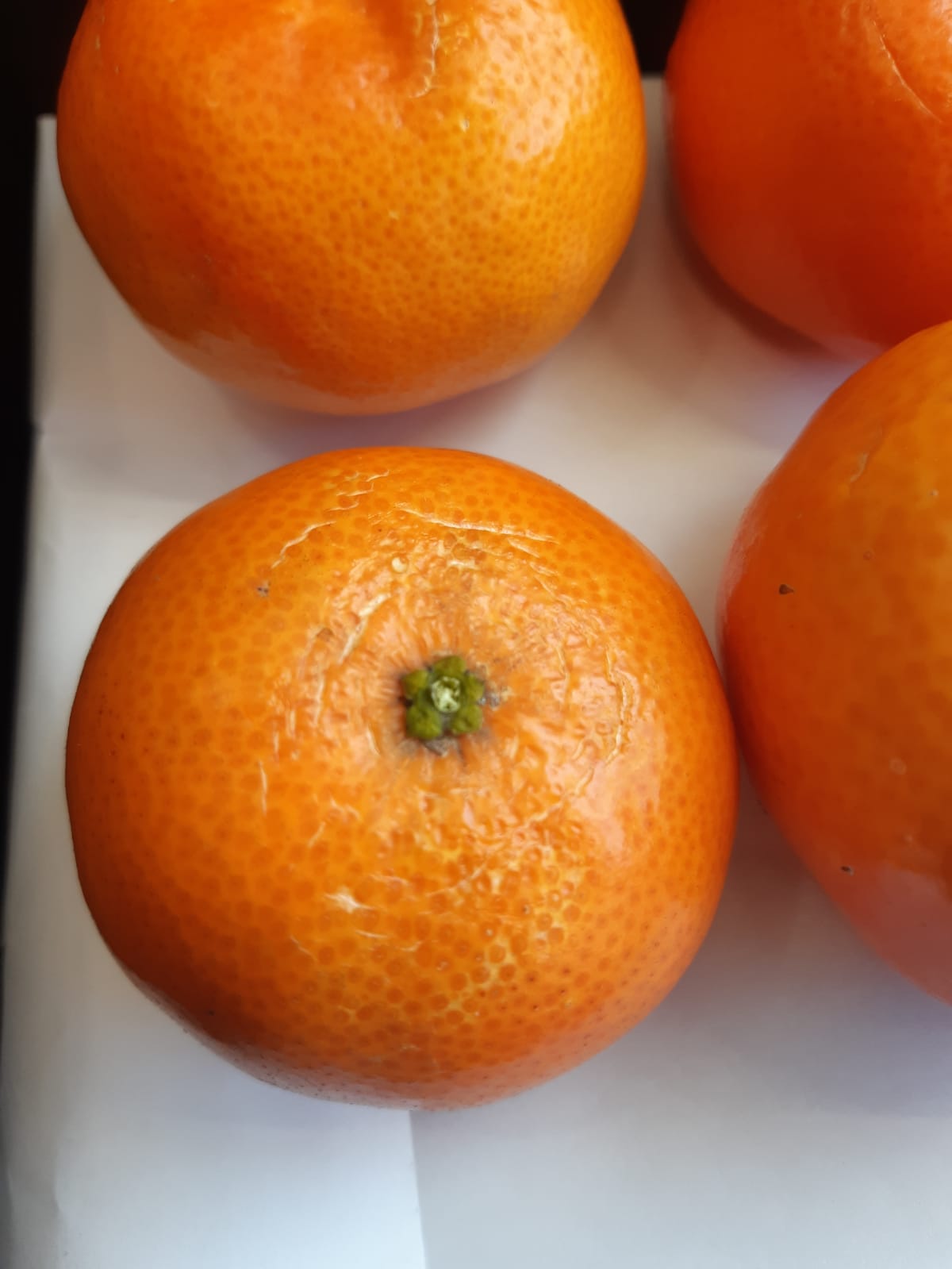 Counteract calcium deficiencies to avoid degradation in the skin of the ...