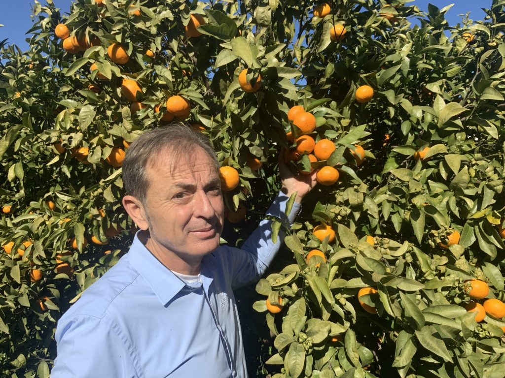 Field day: management of the Orri variety - EDYPRO