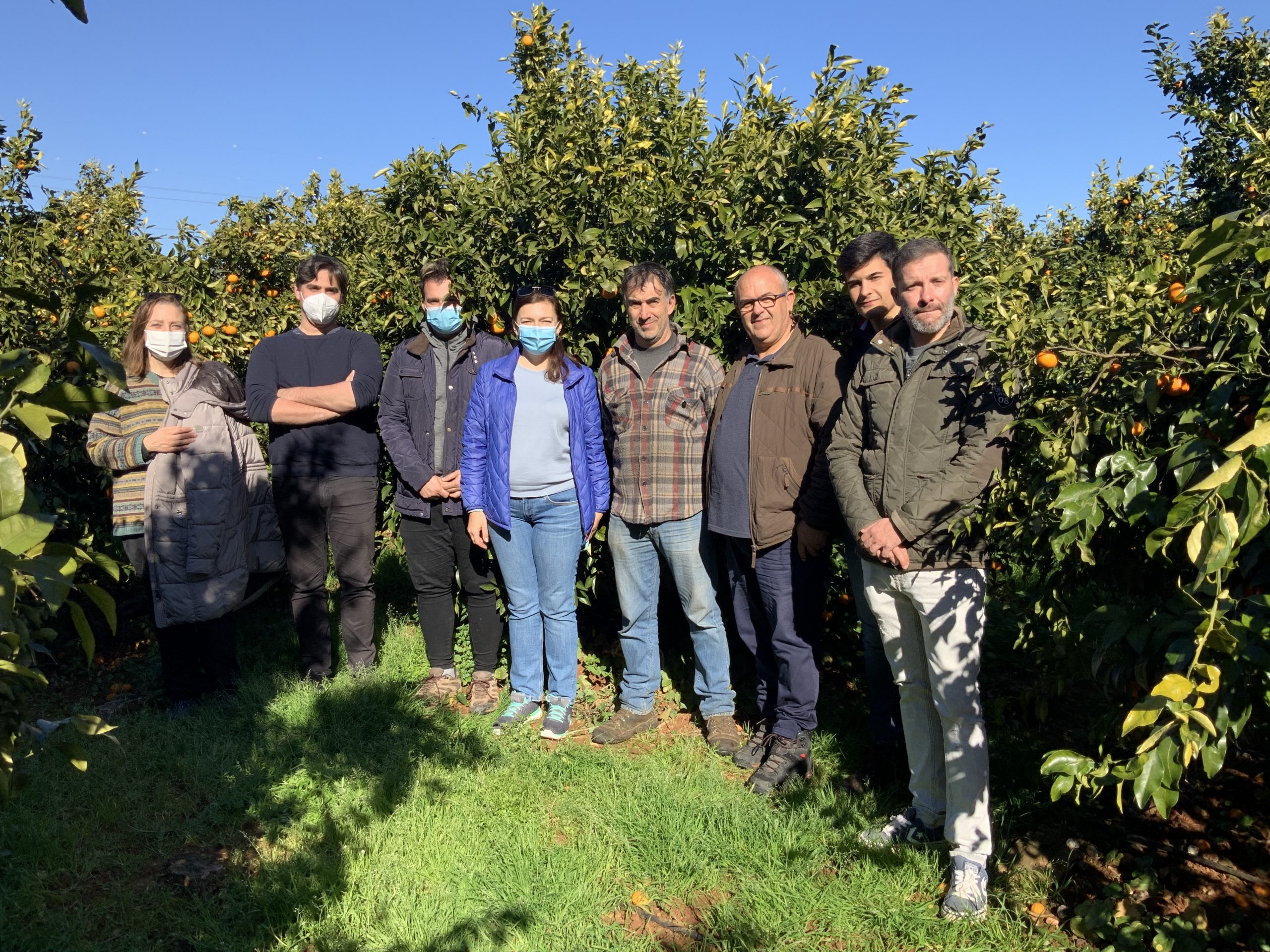 Field day: management of the Orri variety - EDYPRO